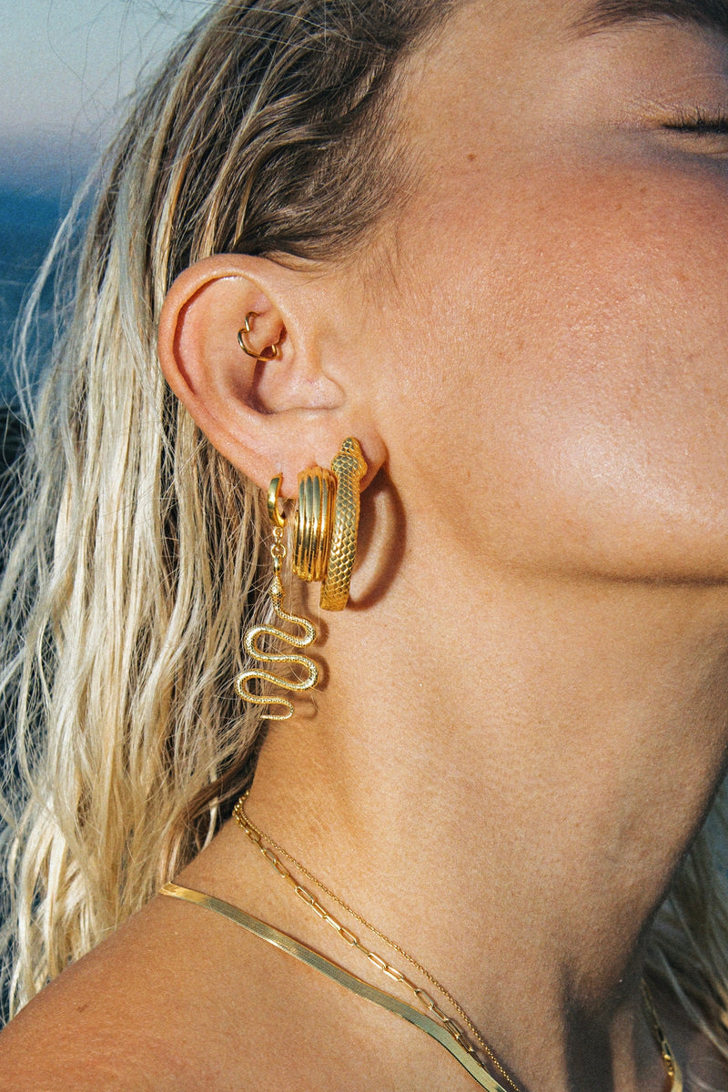 Python Chunky Hoops – zenaisofficial